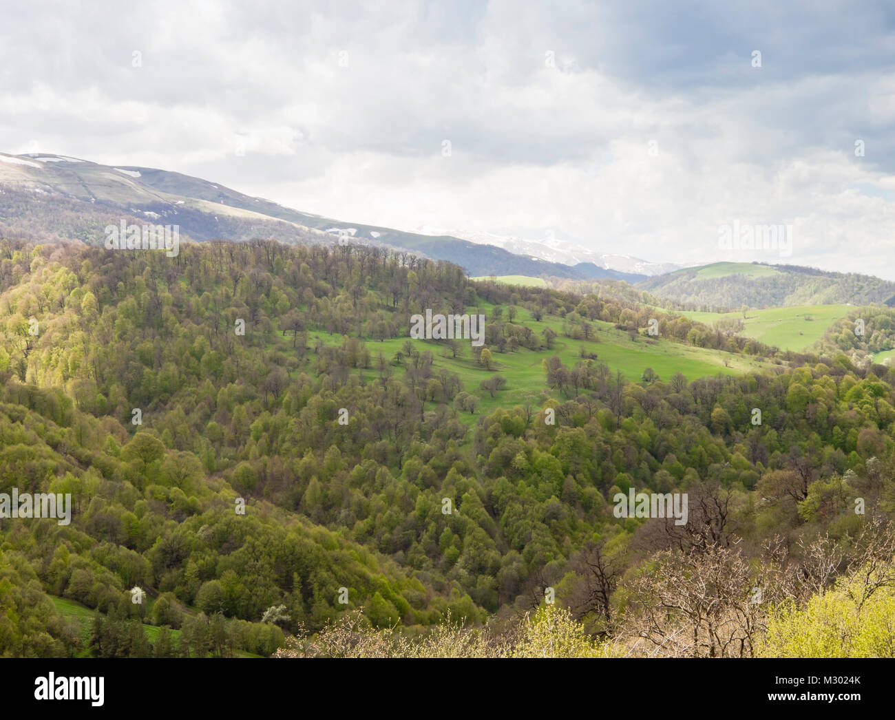 Dilijan national park hi-res stock photography and images - Alamy