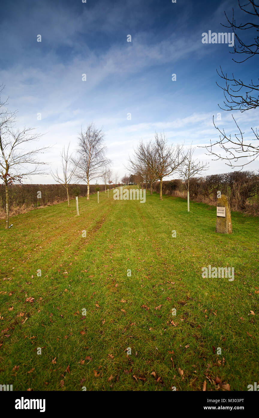 Copse Spinney High Resolution Stock Photography and Images - Alamy