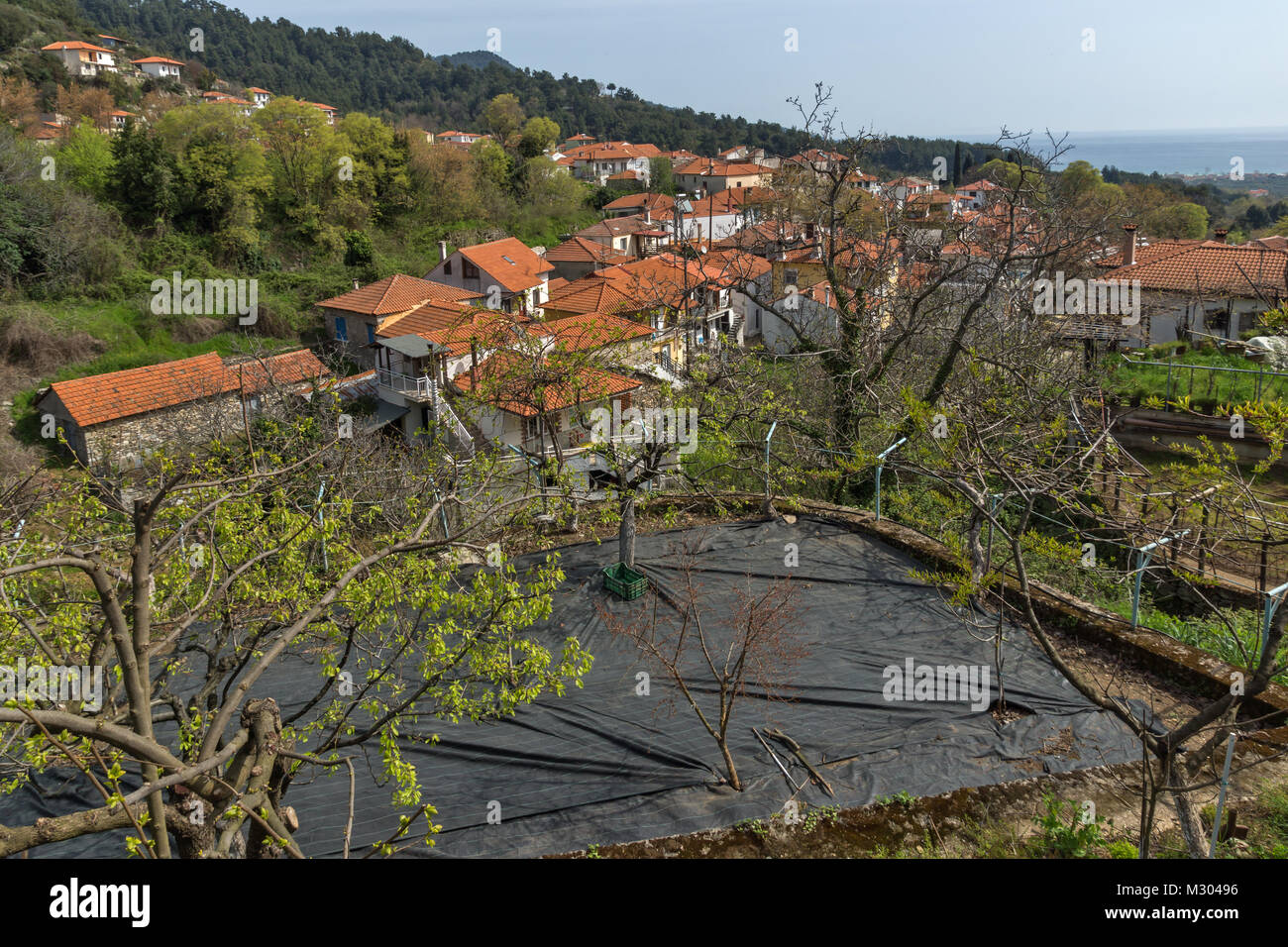 Panorama to village of Potamia, Thassos island, East Macedonia and ...