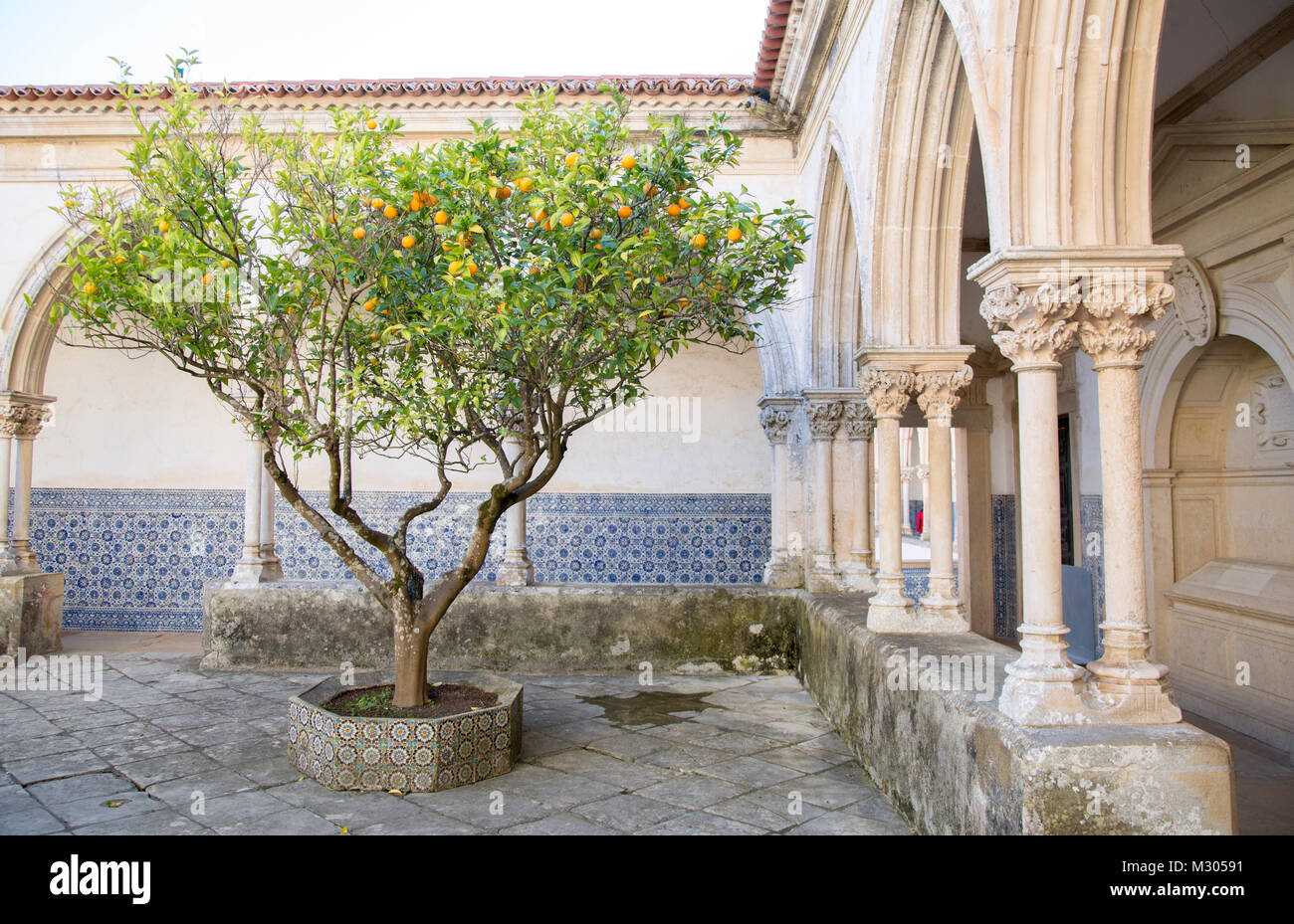 Orange Tree in Patio, Convento de Cristo; Tomar; Portugal Stock Photo ...