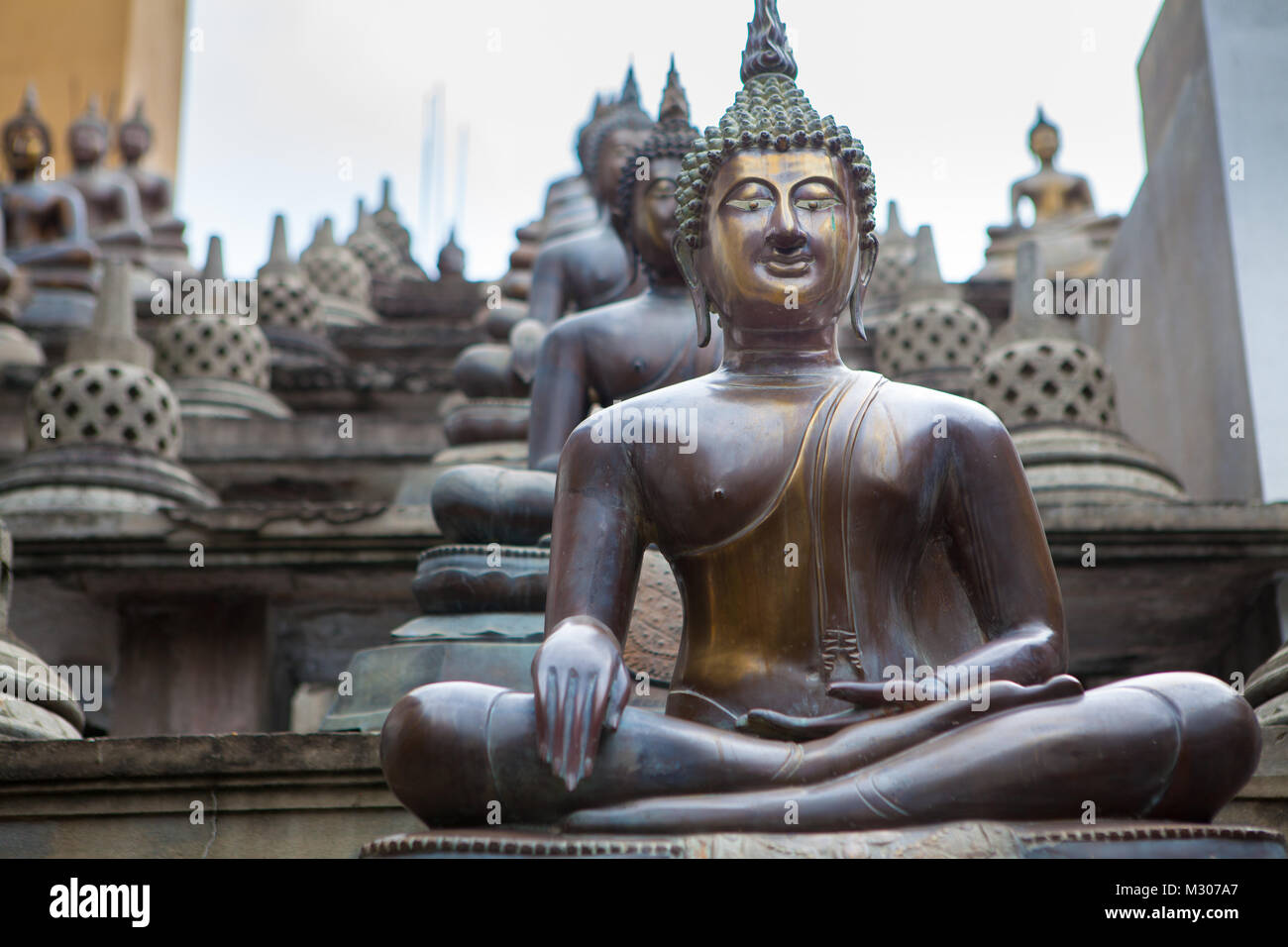 Buddha Statue in Sri Lanka, South Asia Stock Photo - Alamy