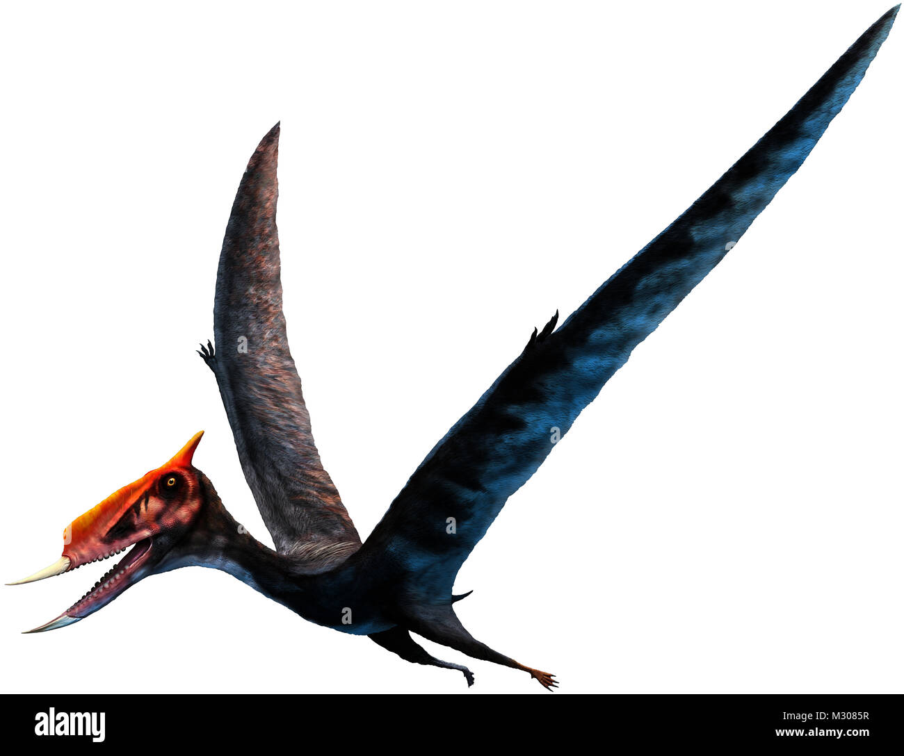 Dsungaripterus hi-res stock photography and images - Alamy