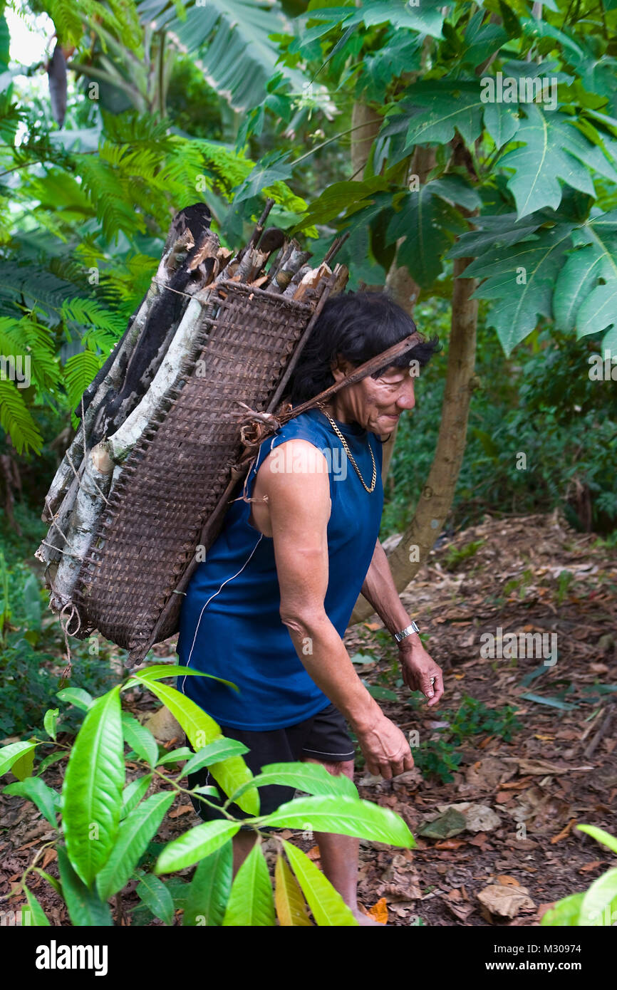 Suriname, Kwamalasamutu, home of indigenous Indians. Akurio indian man ...