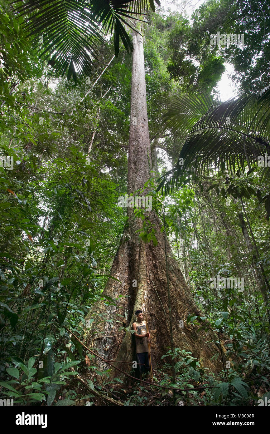 Suriname, Kwamalasamutu, Trio indian with bow and arrow in front of ...