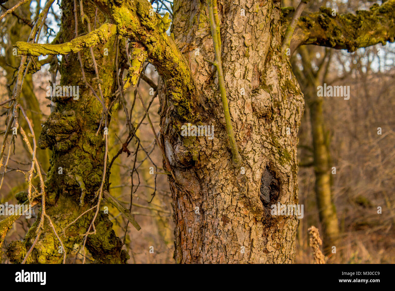 Outdoor awakening hi-res stock photography and images - Alamy