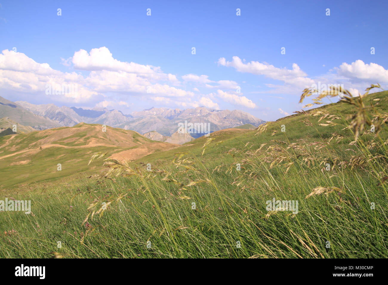 Grass on the slope hi-res stock photography and images - Alamy