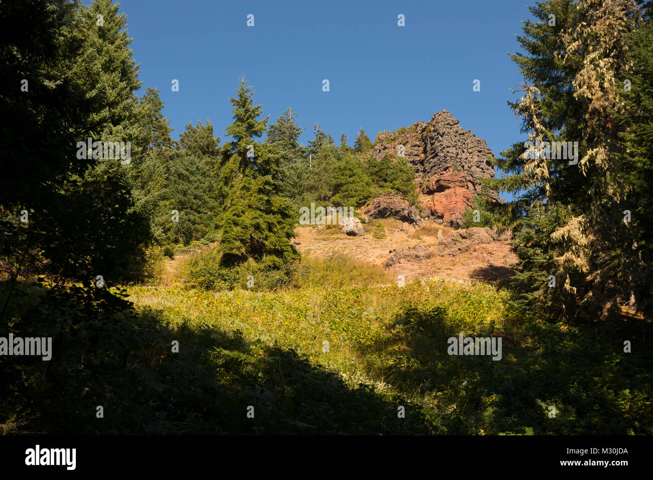 Iron Mountain Hike in Oregon Stock Photo - Alamy