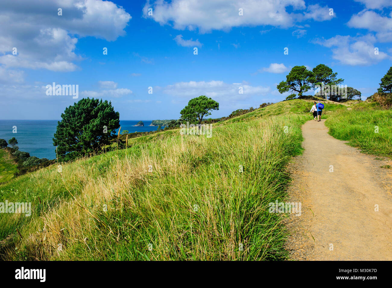 Food path on Cathedral Cove, Coromandel, North Island, New Zealand ...