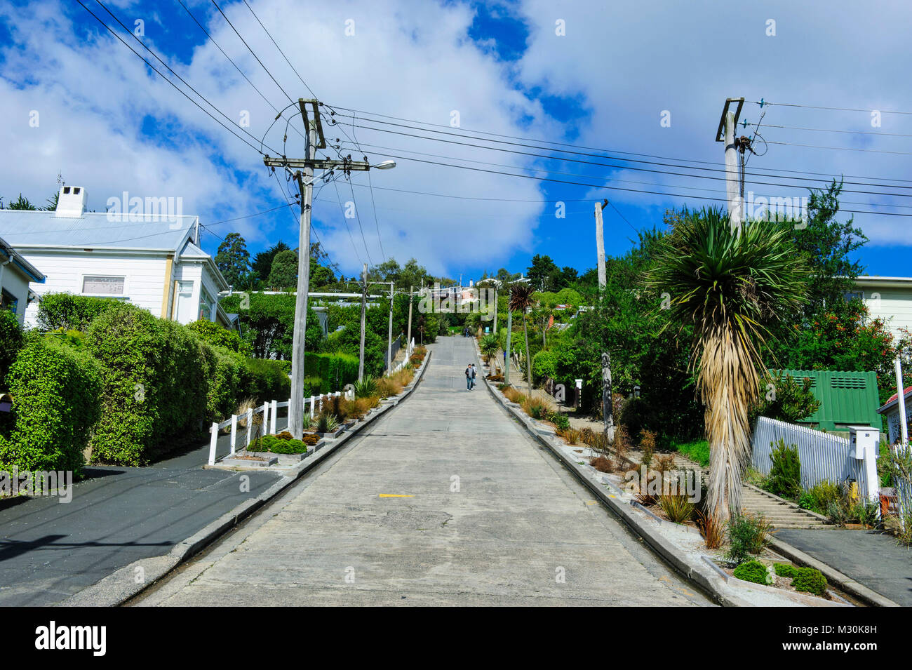 Baldwin street dunedin hi-res stock photography and images - Alamy