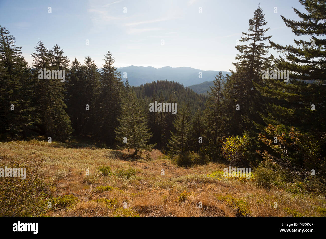 Iron Mountain Hike in Oregon Stock Photo - Alamy