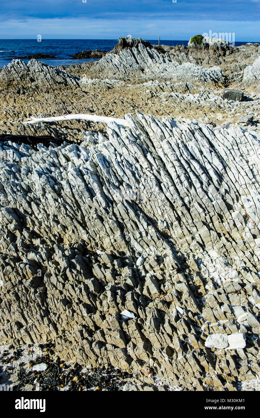 Beautiful limestone formations on the Kaikoura Peninsula, South island ...