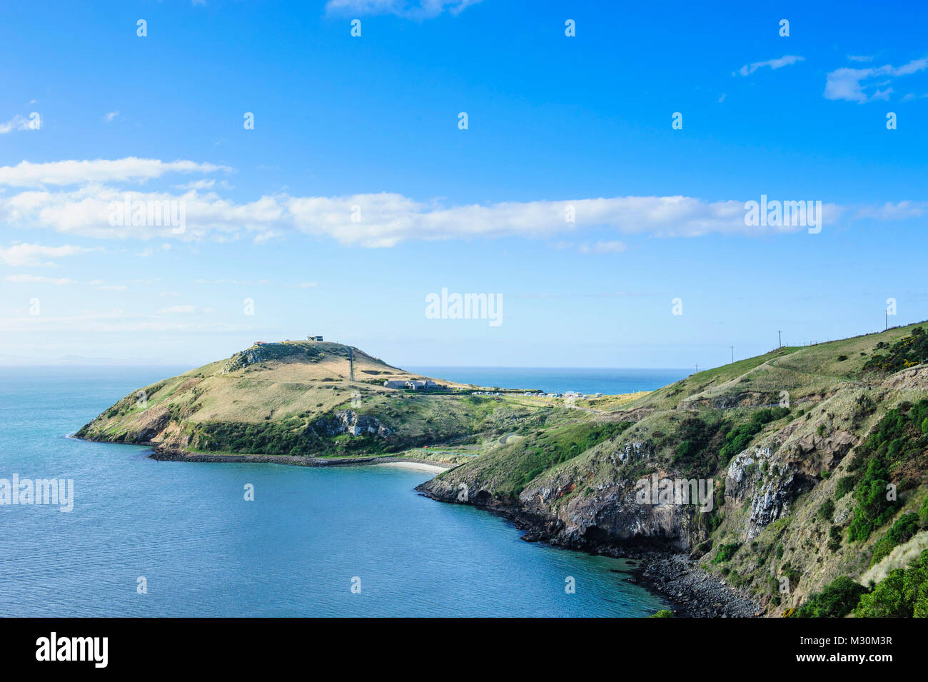 Taiaroa head, Otago peninsula, South Island, New Zealand Stock Photo ...