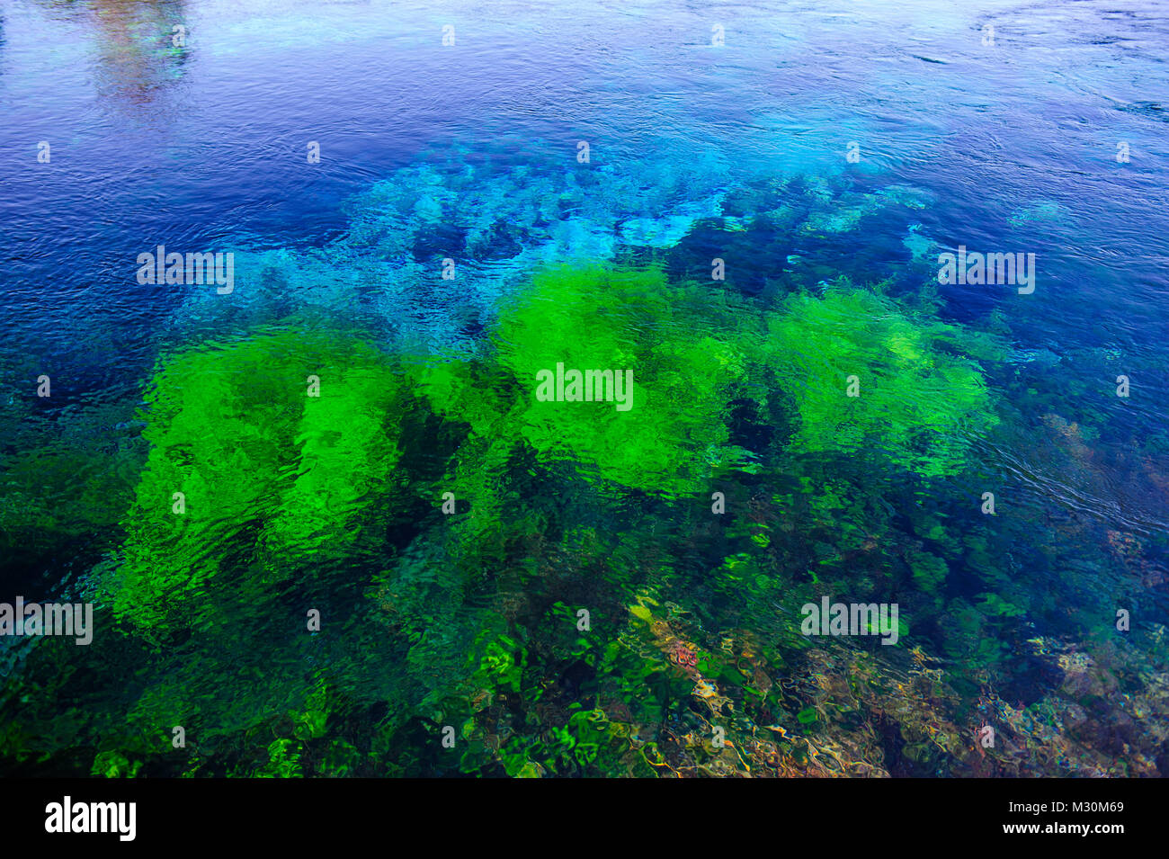 Clearest spring water in the world hi-res stock photography and images ...