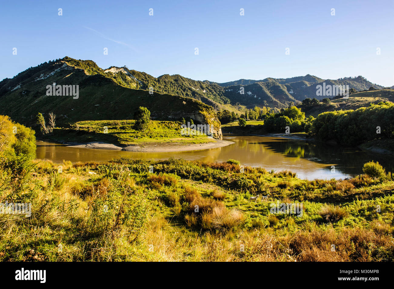 Whanganui river new zealand hi-res stock photography and images - Alamy