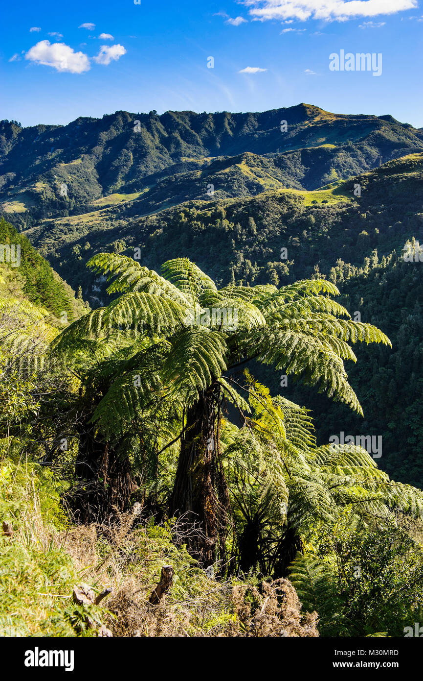 Whanganui river road hi-res stock photography and images - Alamy
