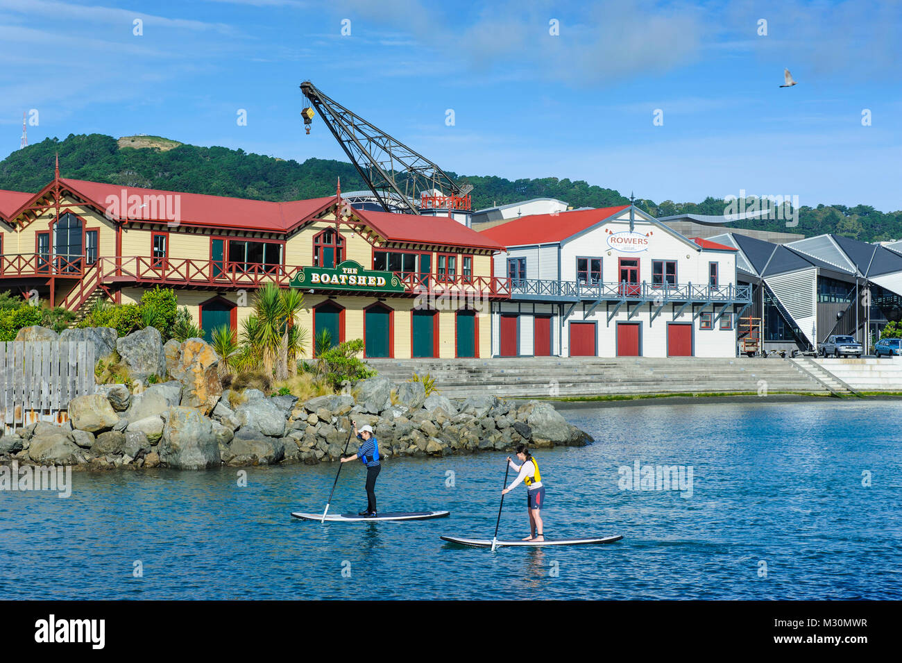 Wellington people new zealand hi-res stock photography and images - Alamy