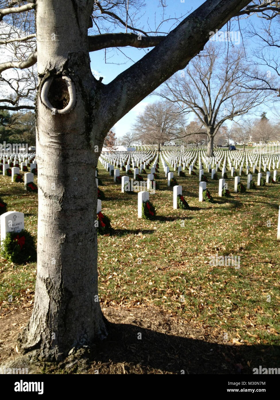 Wreaths Across America 10 by First Army Division East Stock Photo - Alamy