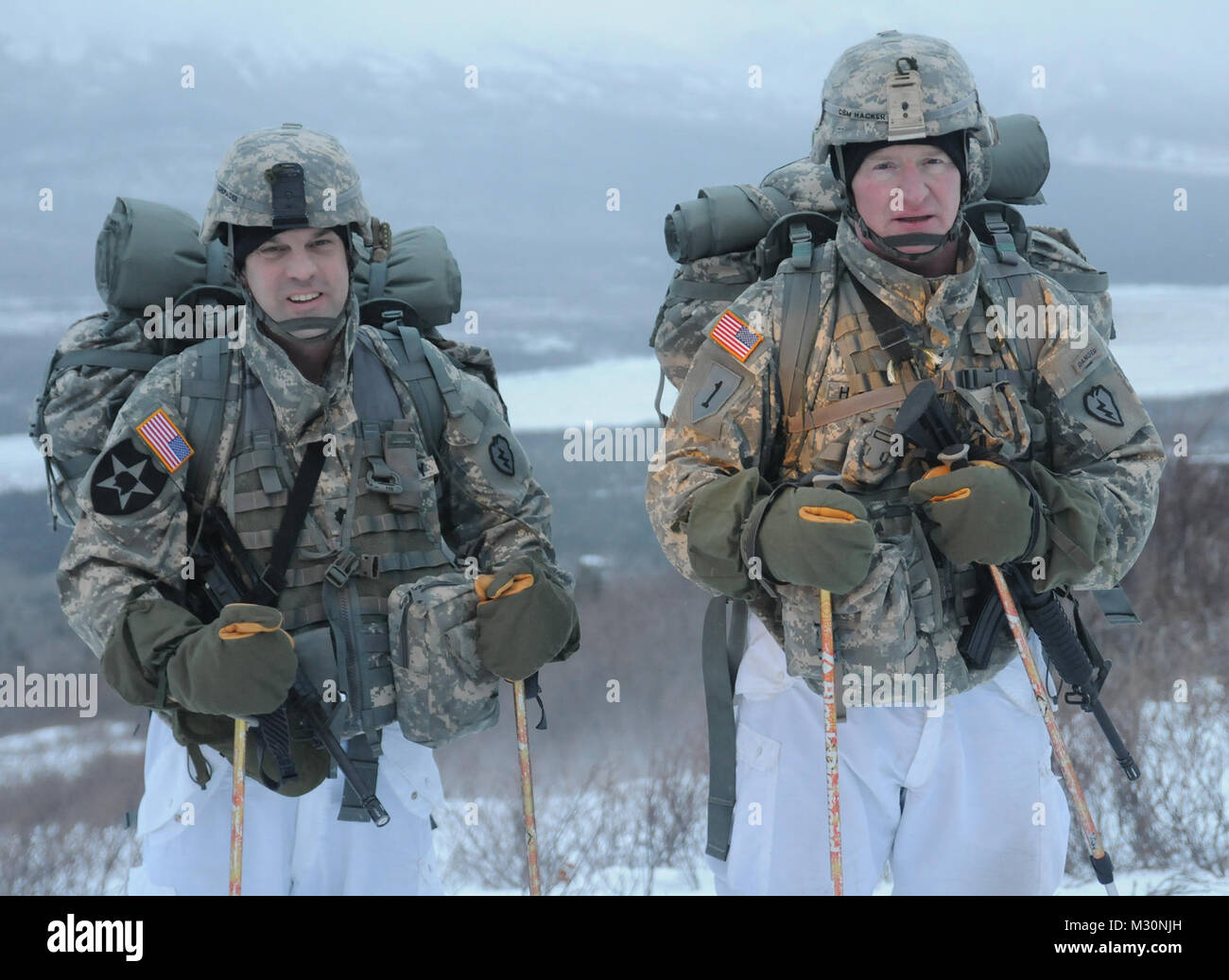 1 25 SBCT CWOC 5 by 1 Stryker Brigade Combat Team Arctic Wolves Stock ...