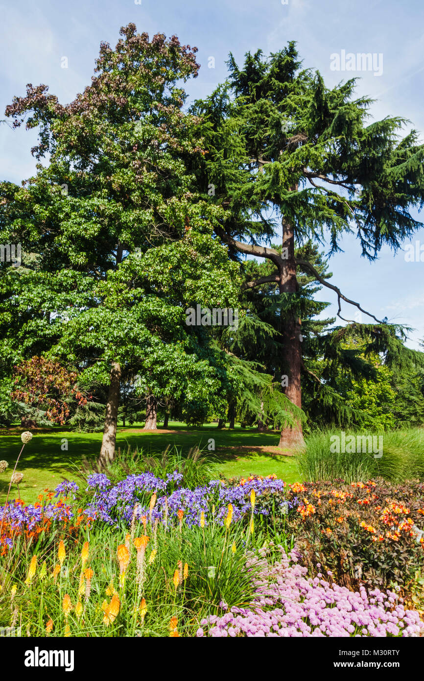 England, London, Richmond, Kew Gardens, The Great Broad Walk Flower ...