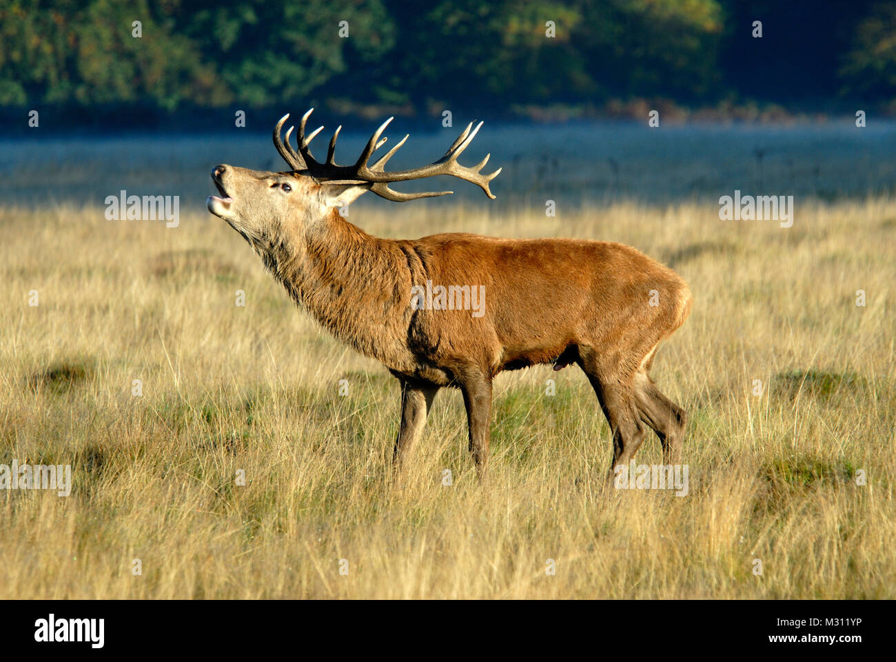 Social outside active hi-res stock photography and images - Alamy