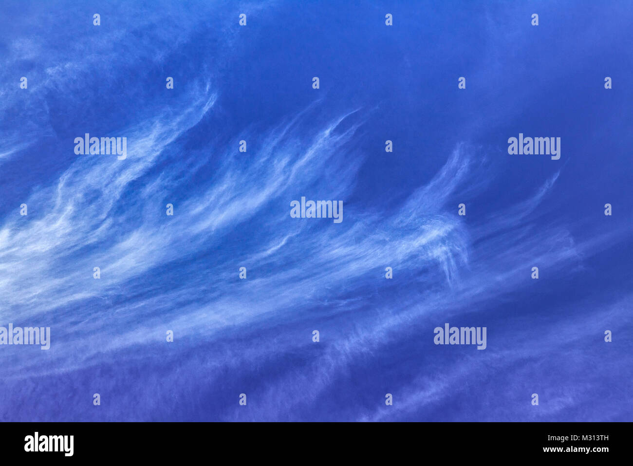 Ice tendrils hi-res stock photography and images - Alamy