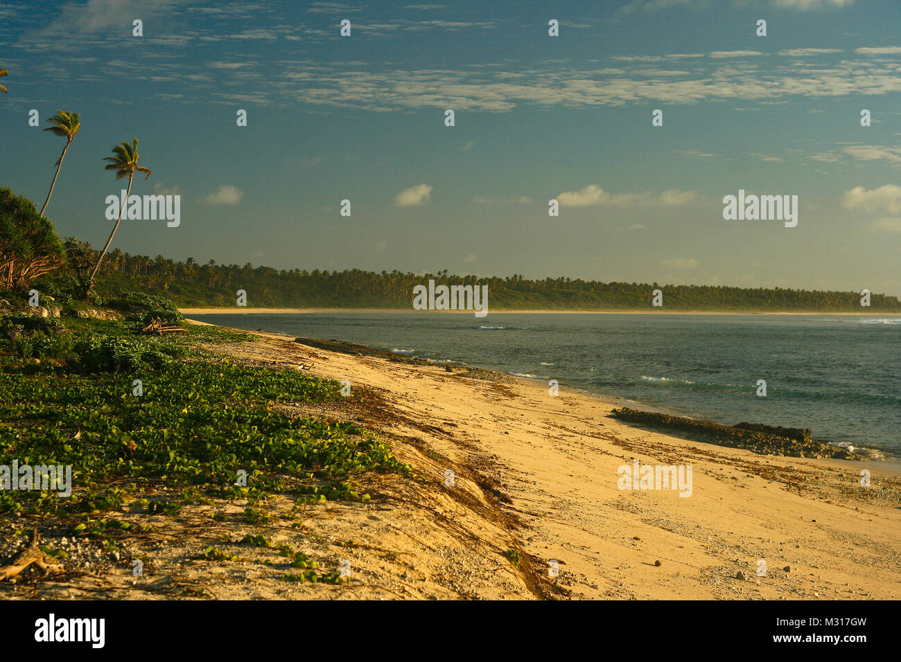 Mangrove islands hi-res stock photography and images - Alamy