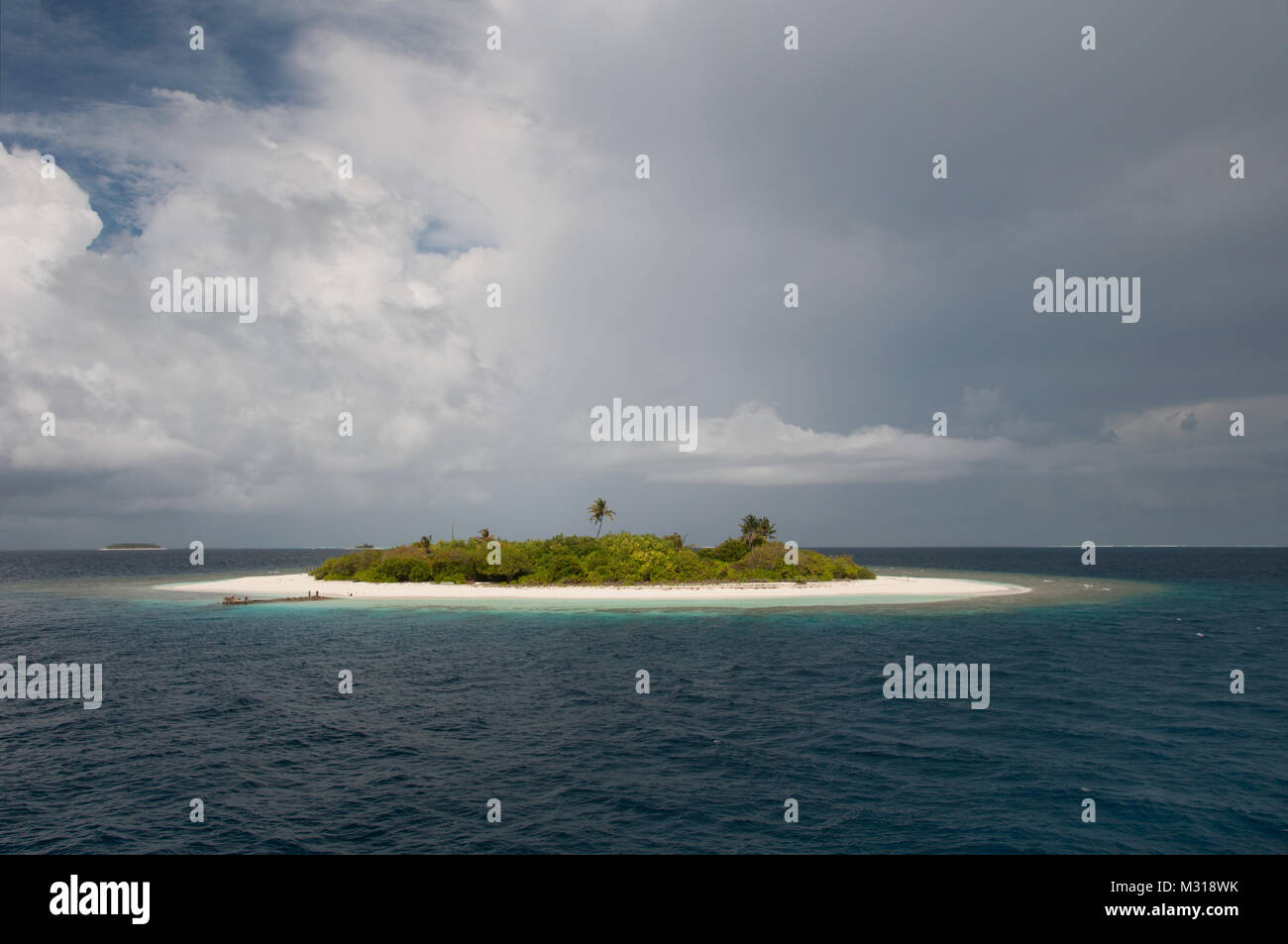 Small islet on an atoll with numerous green vegetation, a reef in the ...