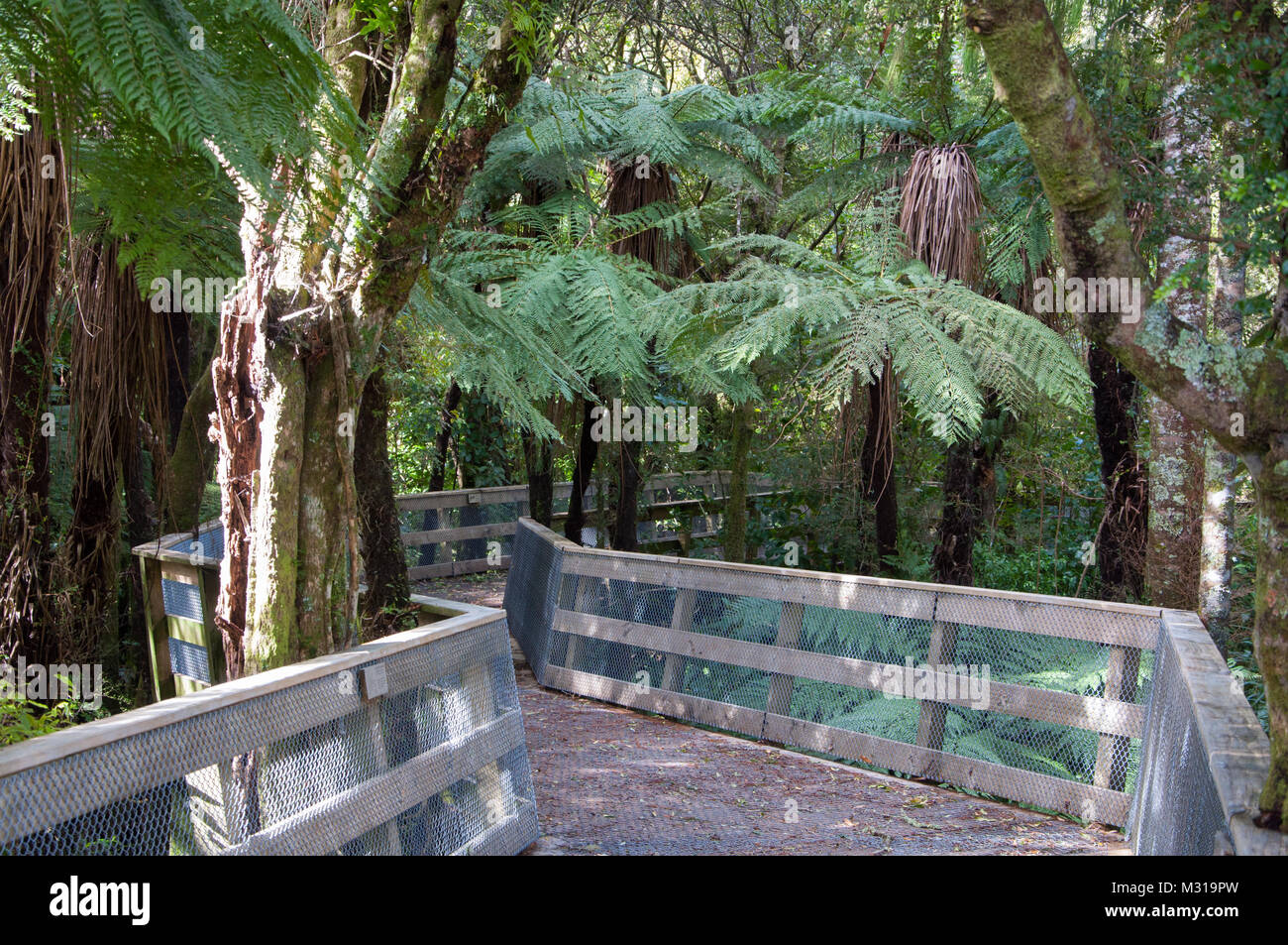 Bush Walk Track Stock Photo - Alamy