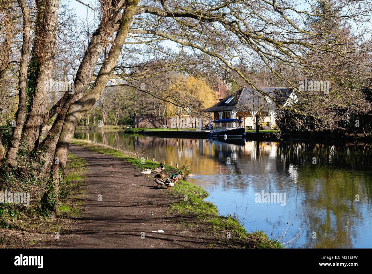Weybridge surrey hi-res stock photography and images - Alamy