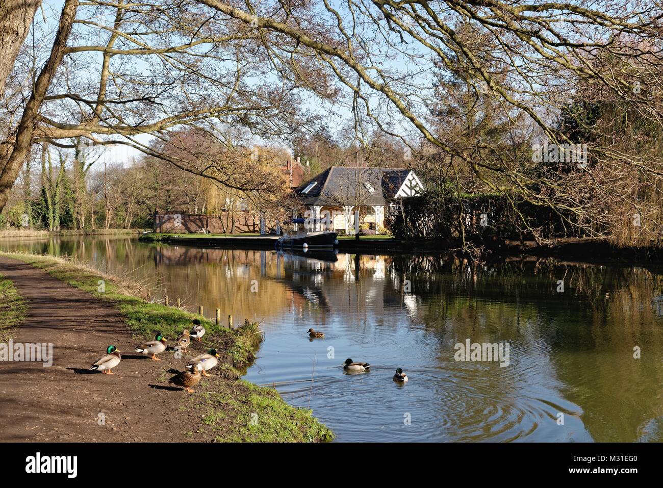Quiet backwater of the River Wey navigation in Weybridge Surrey England ...