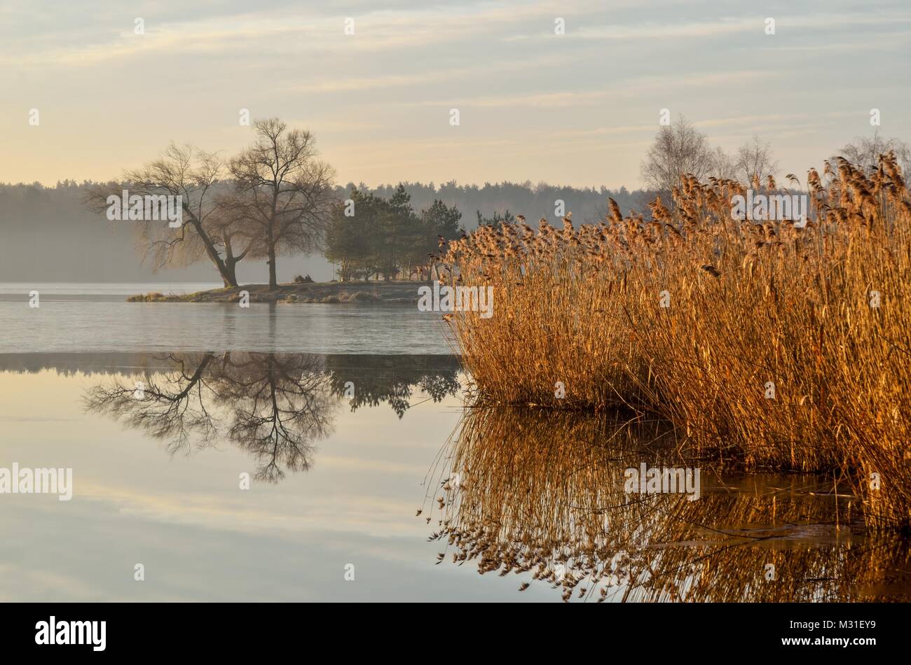 Lake bushes sky bush hi-res stock photography and images - Alamy