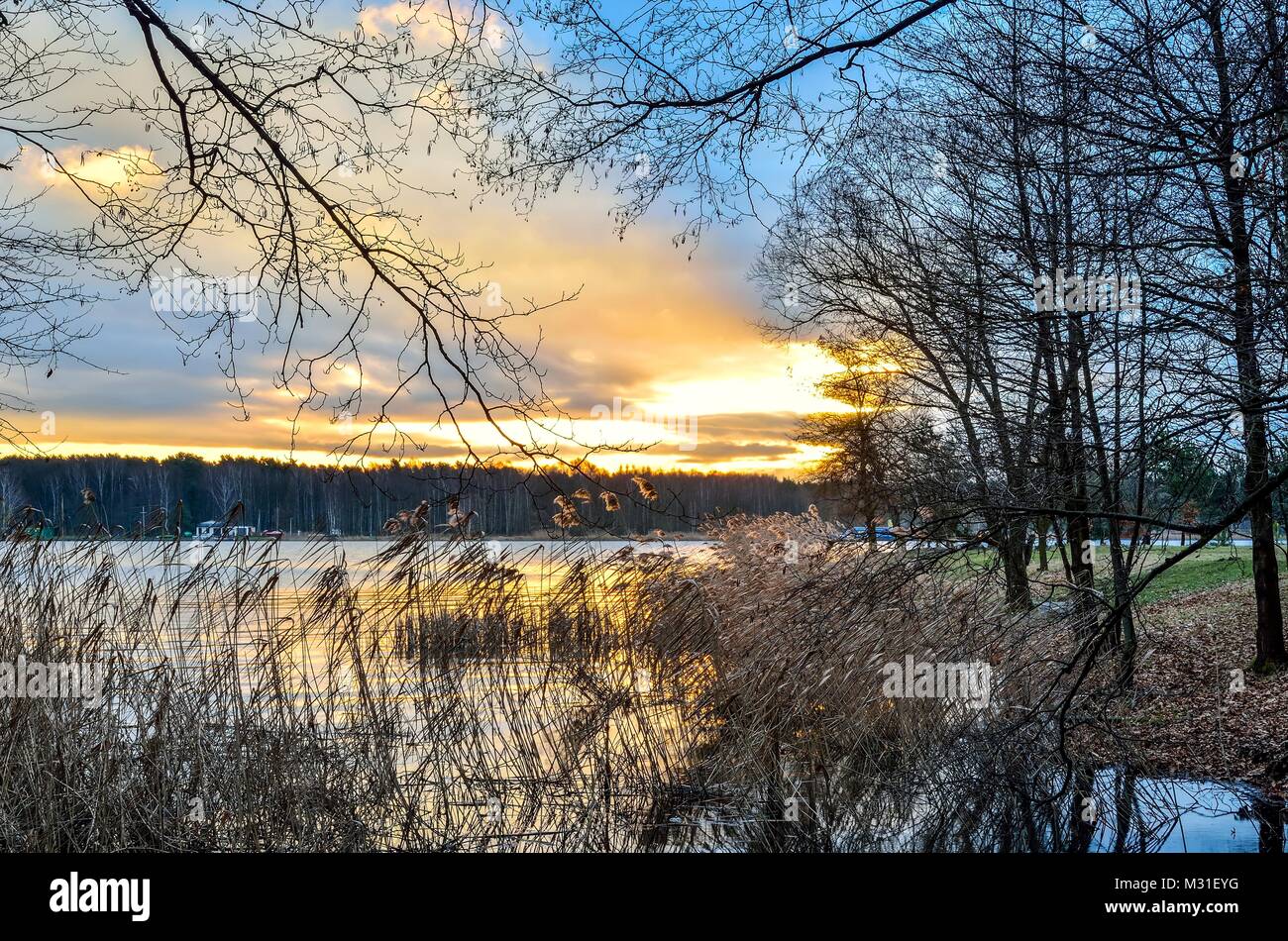 Beautiful morning landscape. Tree on the peninsula at the lake at ...