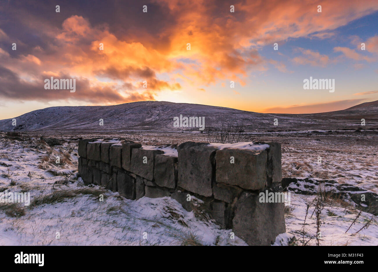 Hiding places hi-res stock photography and images - Alamy