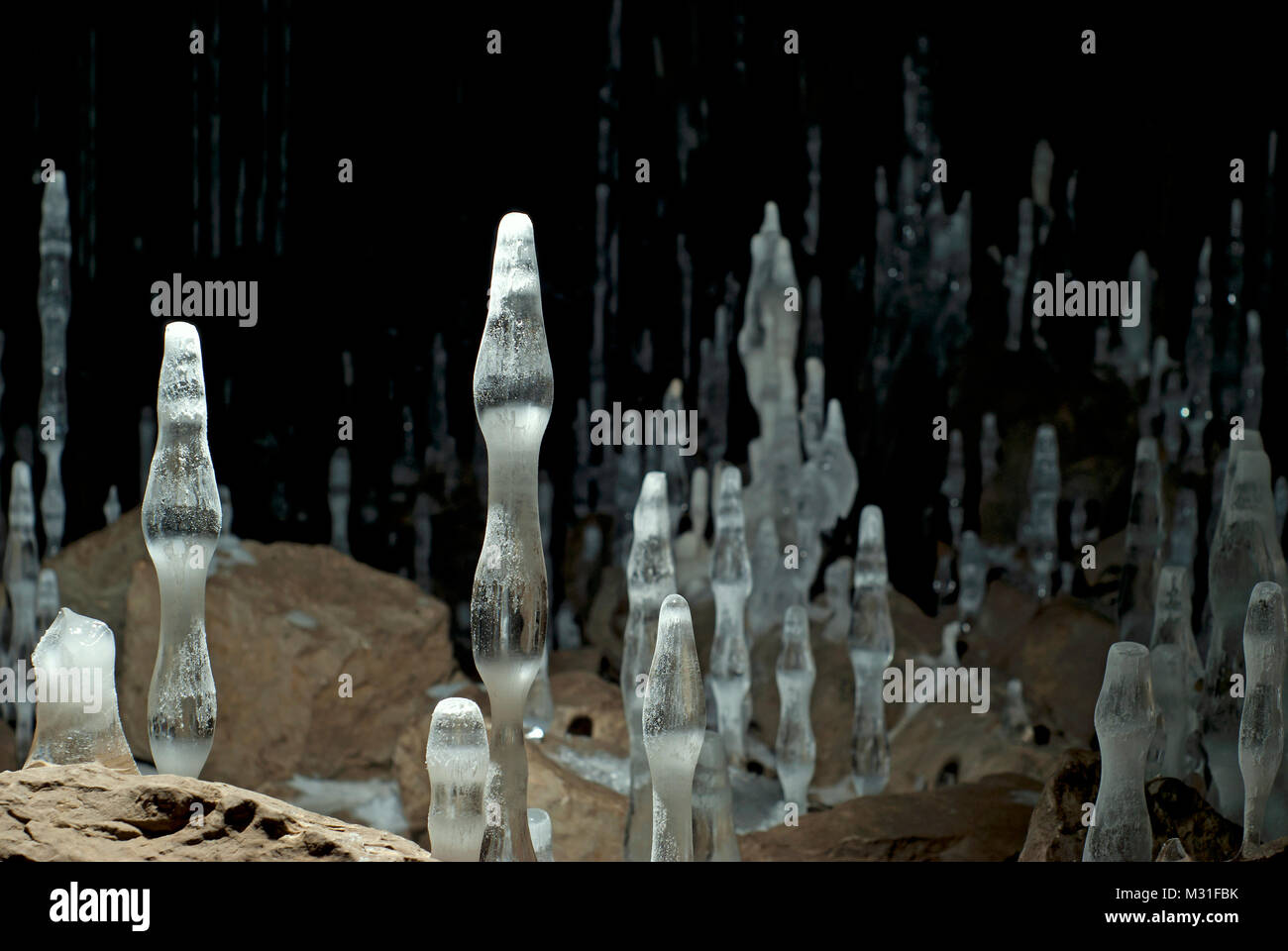 Numerous ice stalks-stalagmites on the floor of the cave. Focus on the ...