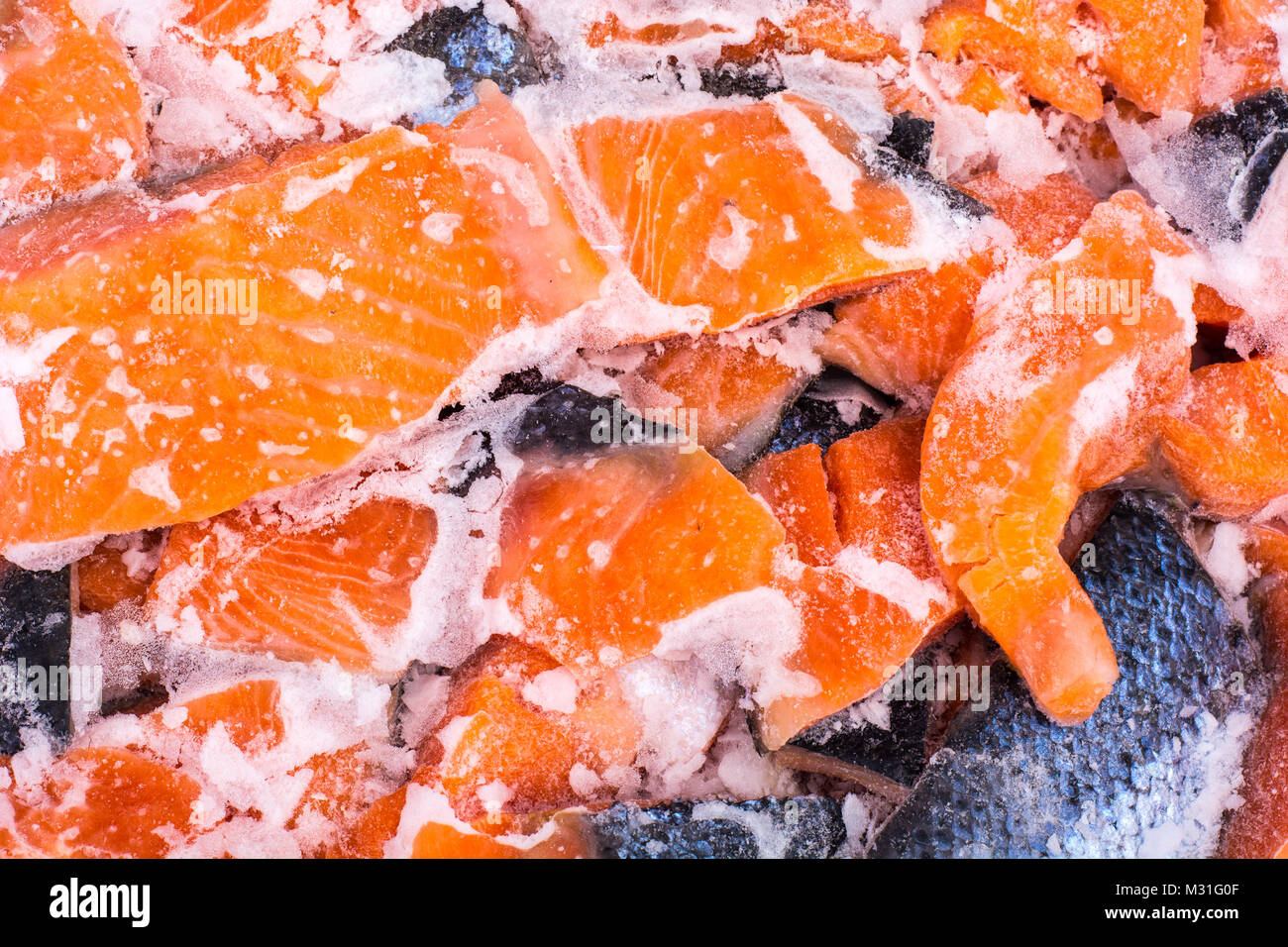 Slices of salmon frozen on ice Stock Photo - Alamy