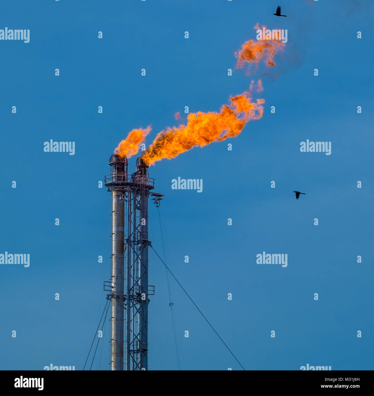 Flare stack at petroleum refinery in Port Arthur Texas Stock Photo - Alamy