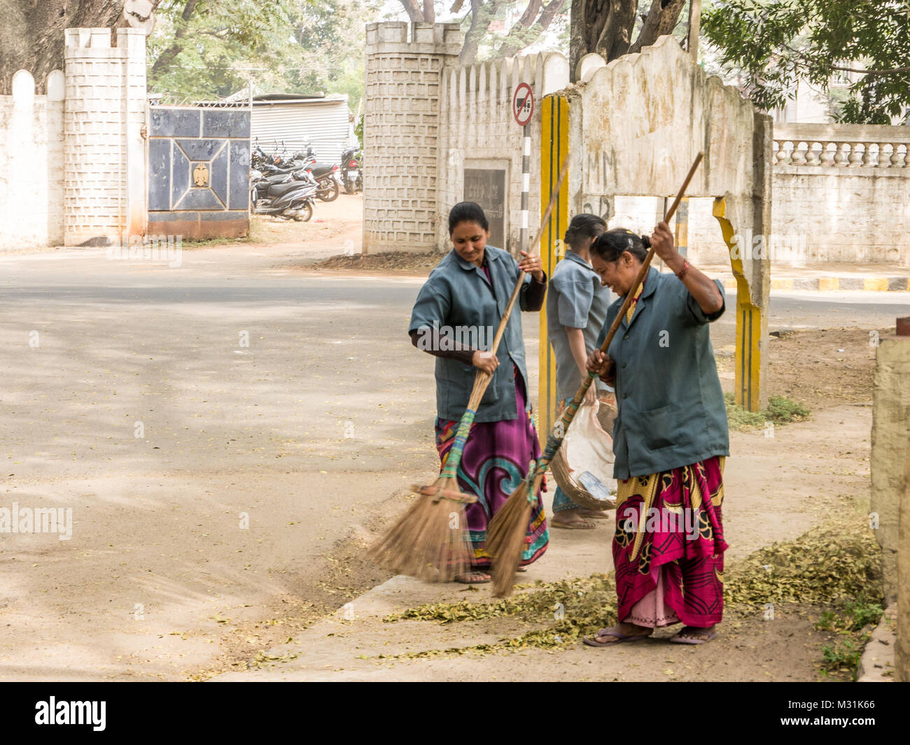 Indian Broom India High Resolution Stock Photography and Images - Alamy