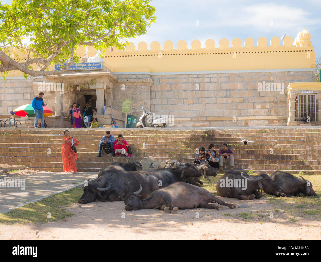 Mysore, Karnataka, India - January 11, 2018. People activities near the ...