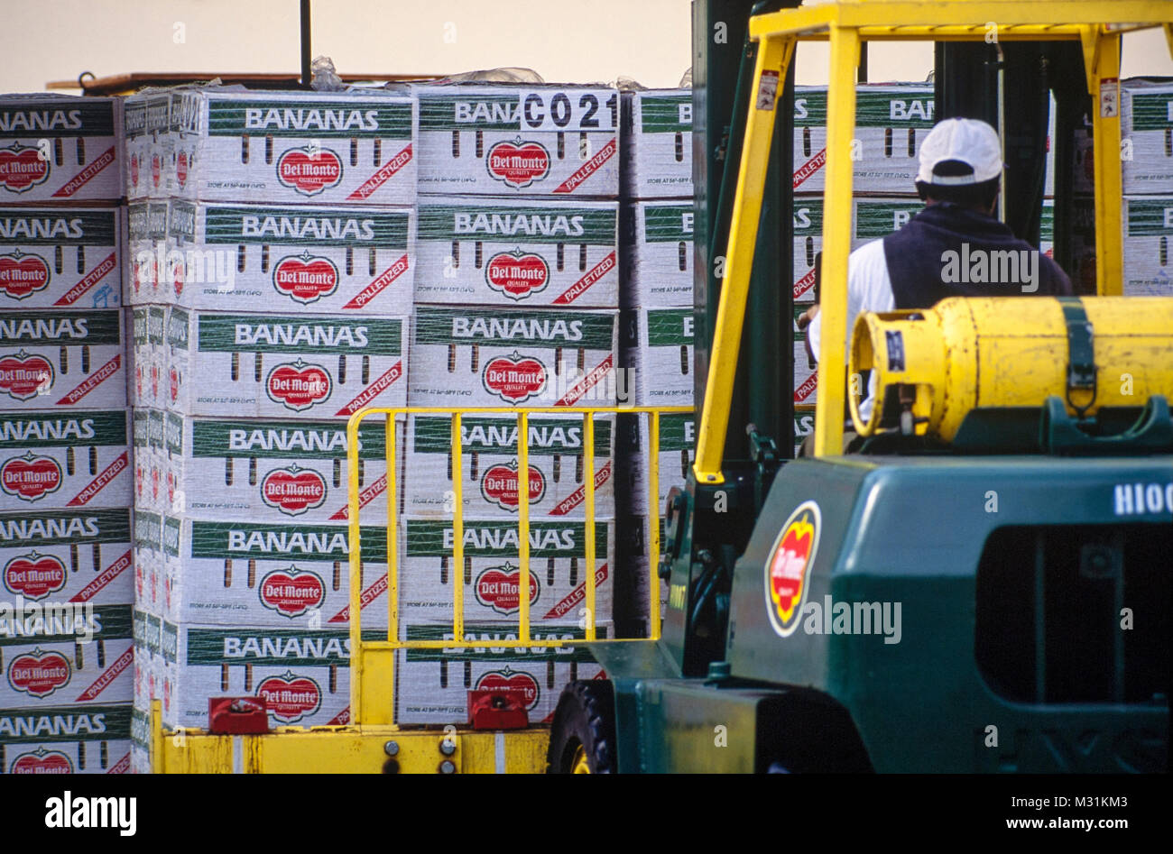 Ship cargo hold loading of fruit, bananas for export import Stock Photo ...