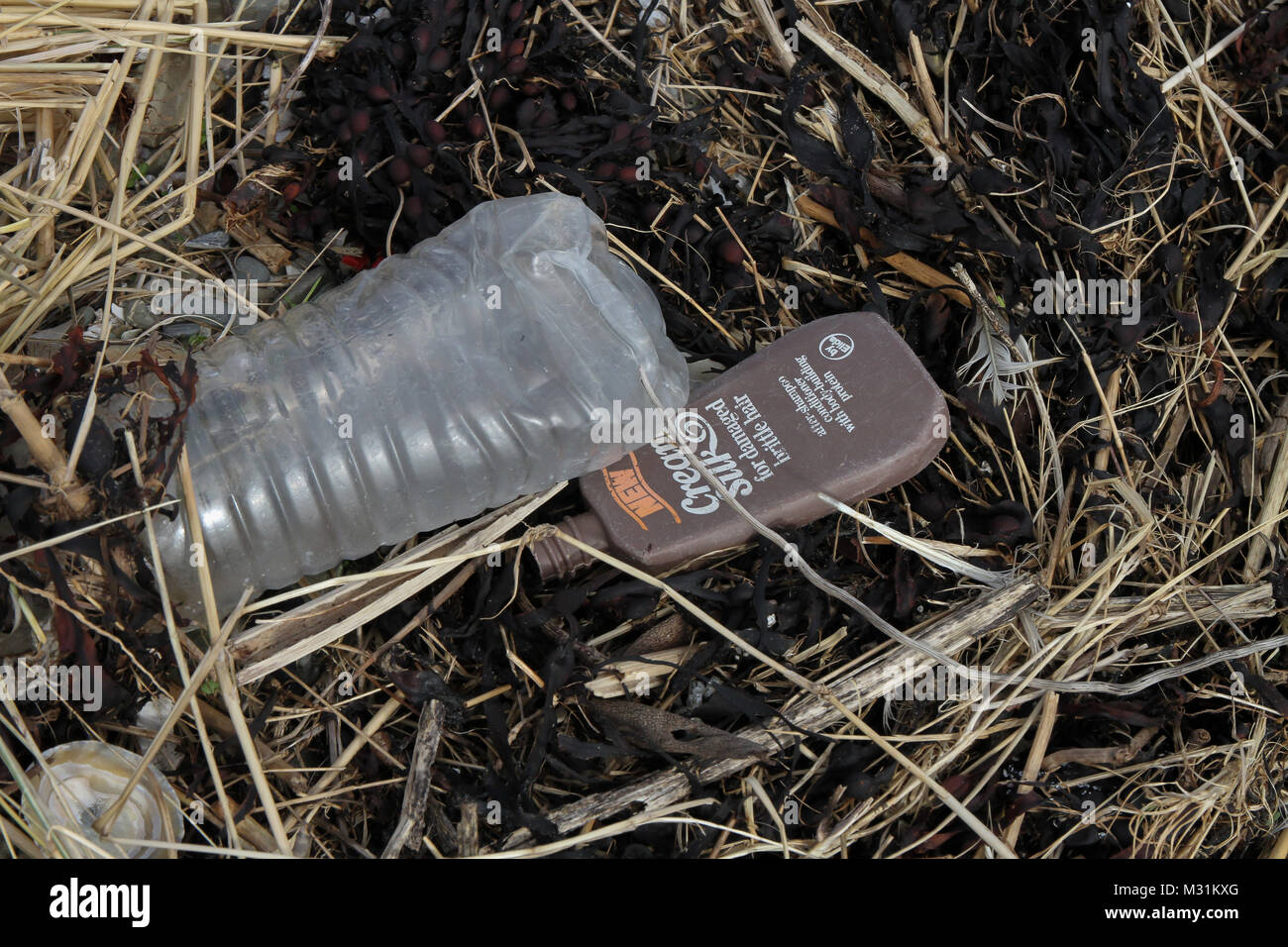 Debris washed up on a UK beach Stock Photo - Alamy