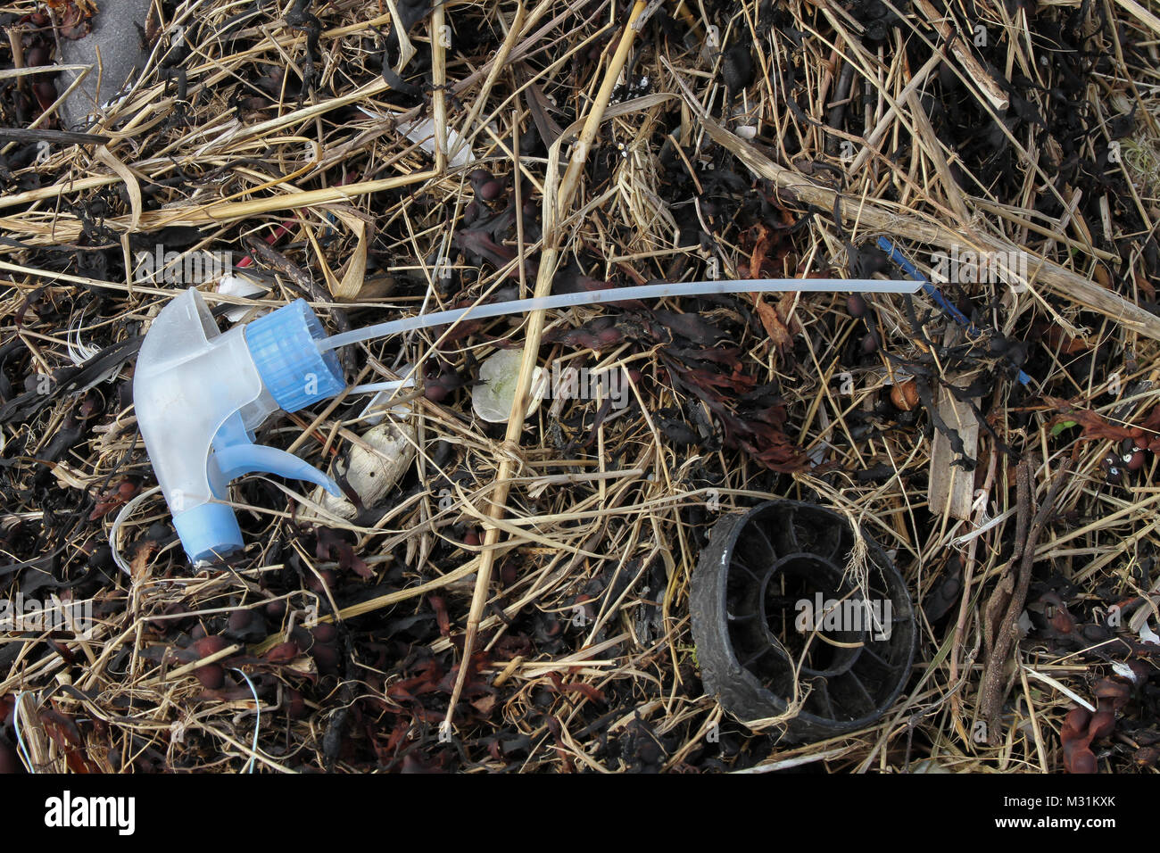 Marine debris beach hi-res stock photography and images - Alamy