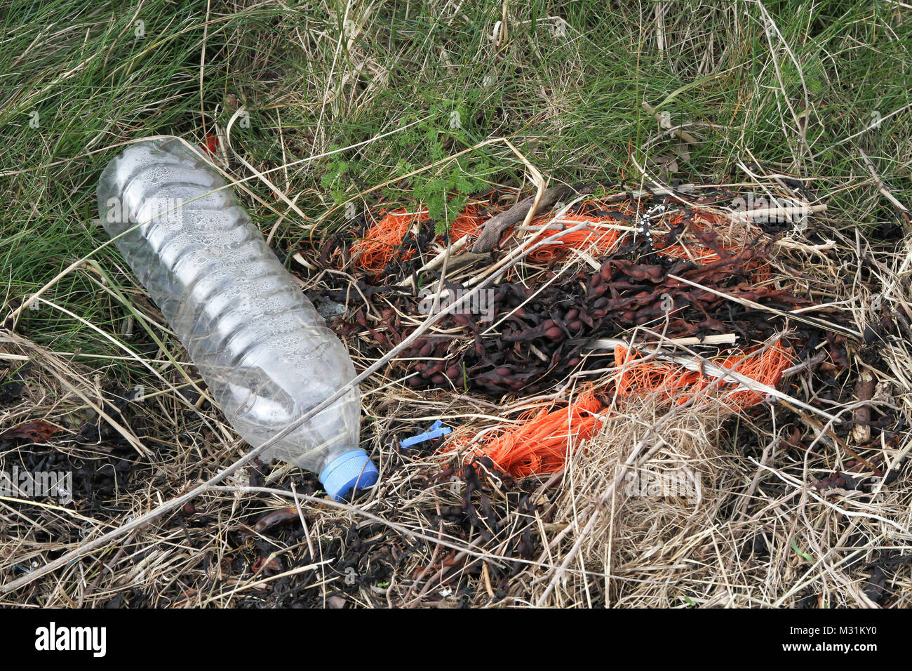 Washed up plastic bottle hi-res stock photography and images - Alamy
