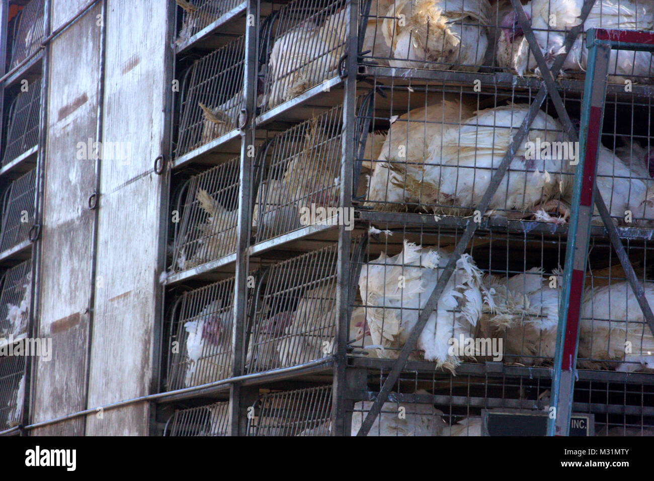 Farmyard transport hi-res stock photography and images - Alamy