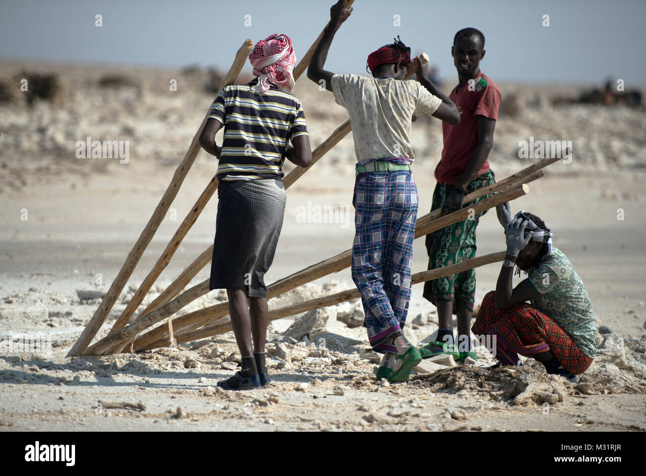 A Afar men loosen the ground to enable salt mining in the Danakil ...