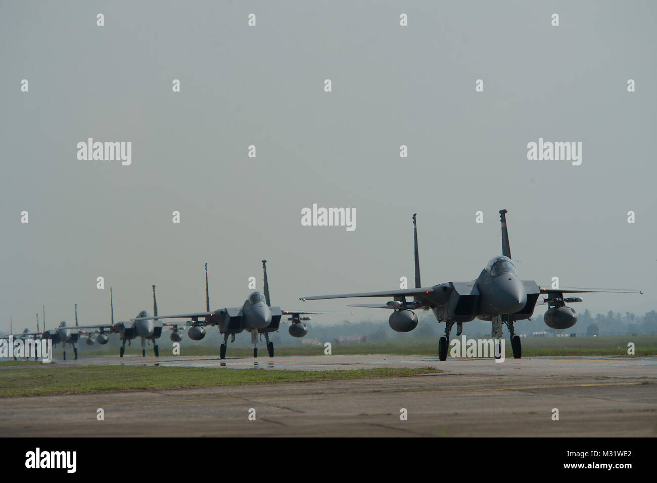 Five U.S. Air Force F-15 Eagles from the 131st Fighter Squadron, 104th ...