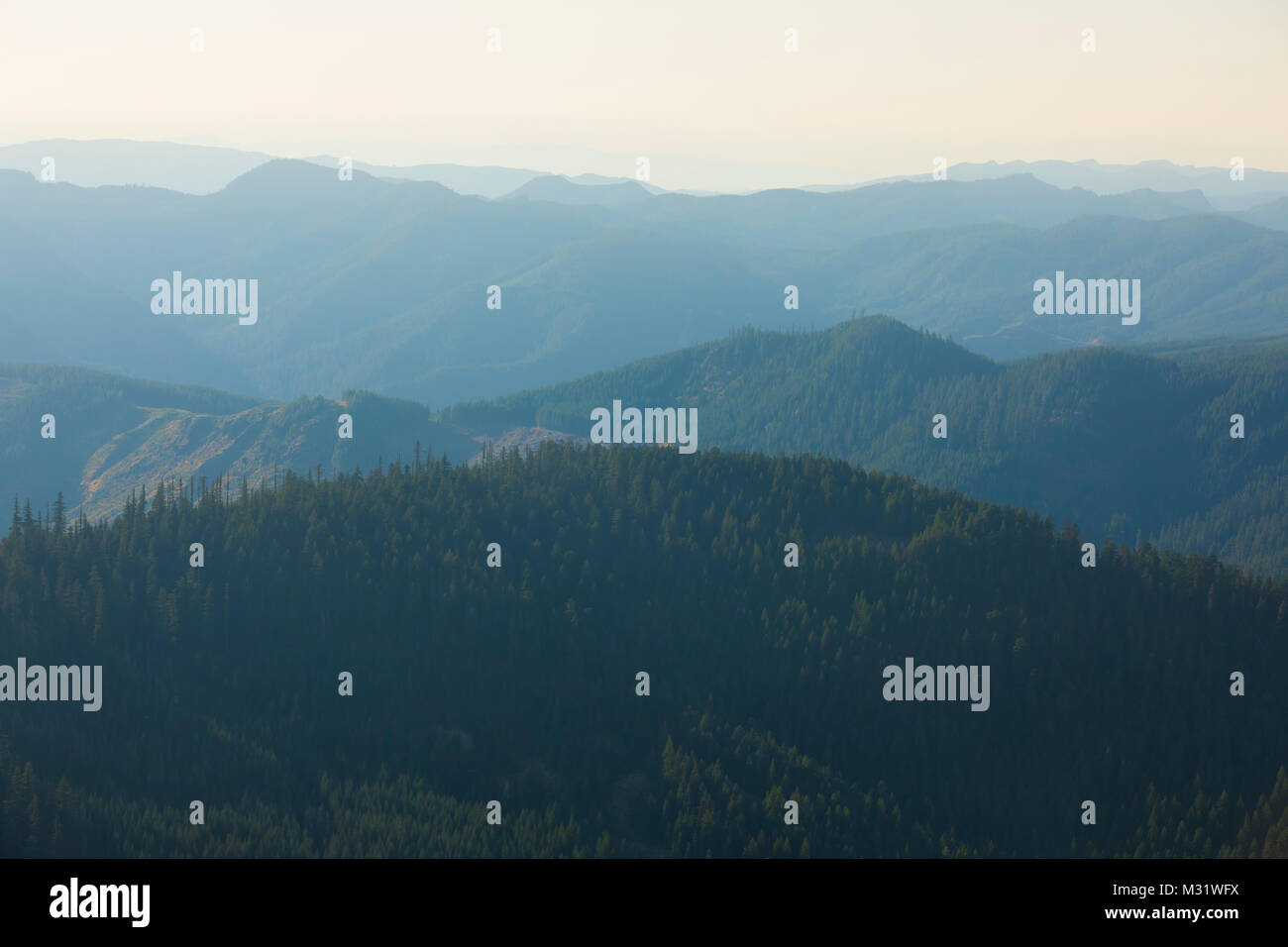 Iron Mountain Hike in Oregon Stock Photo - Alamy