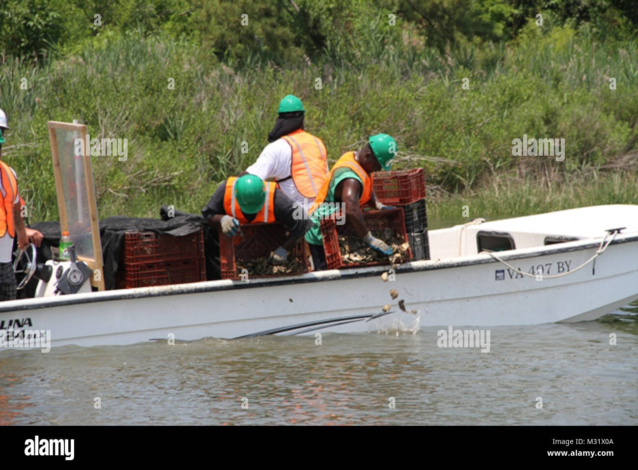 Norfolk international terminals inc hi-res stock photography and images ...