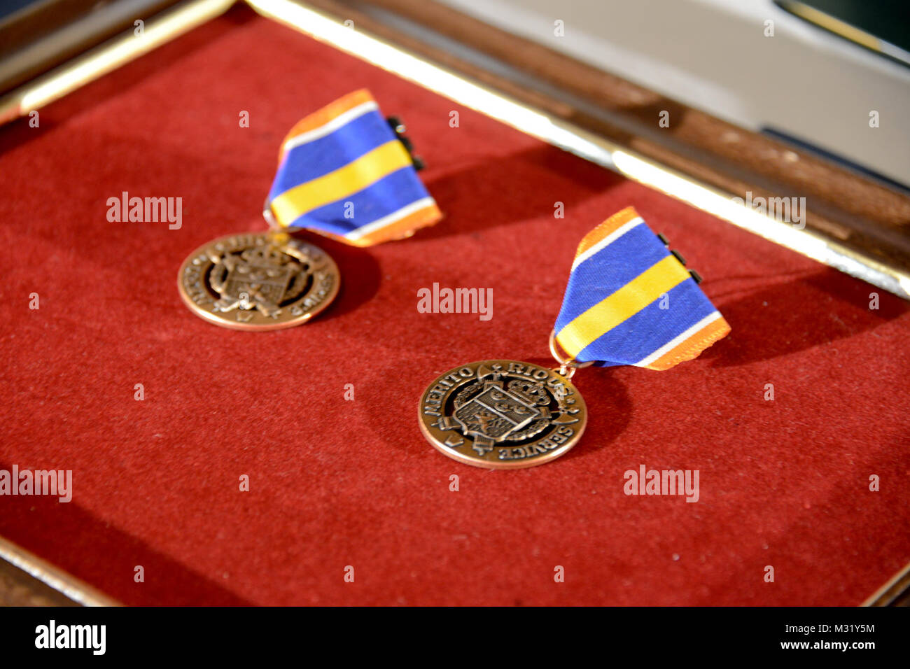 Meritorious Service Medals by PANationalGuard Stock Photo - Alamy