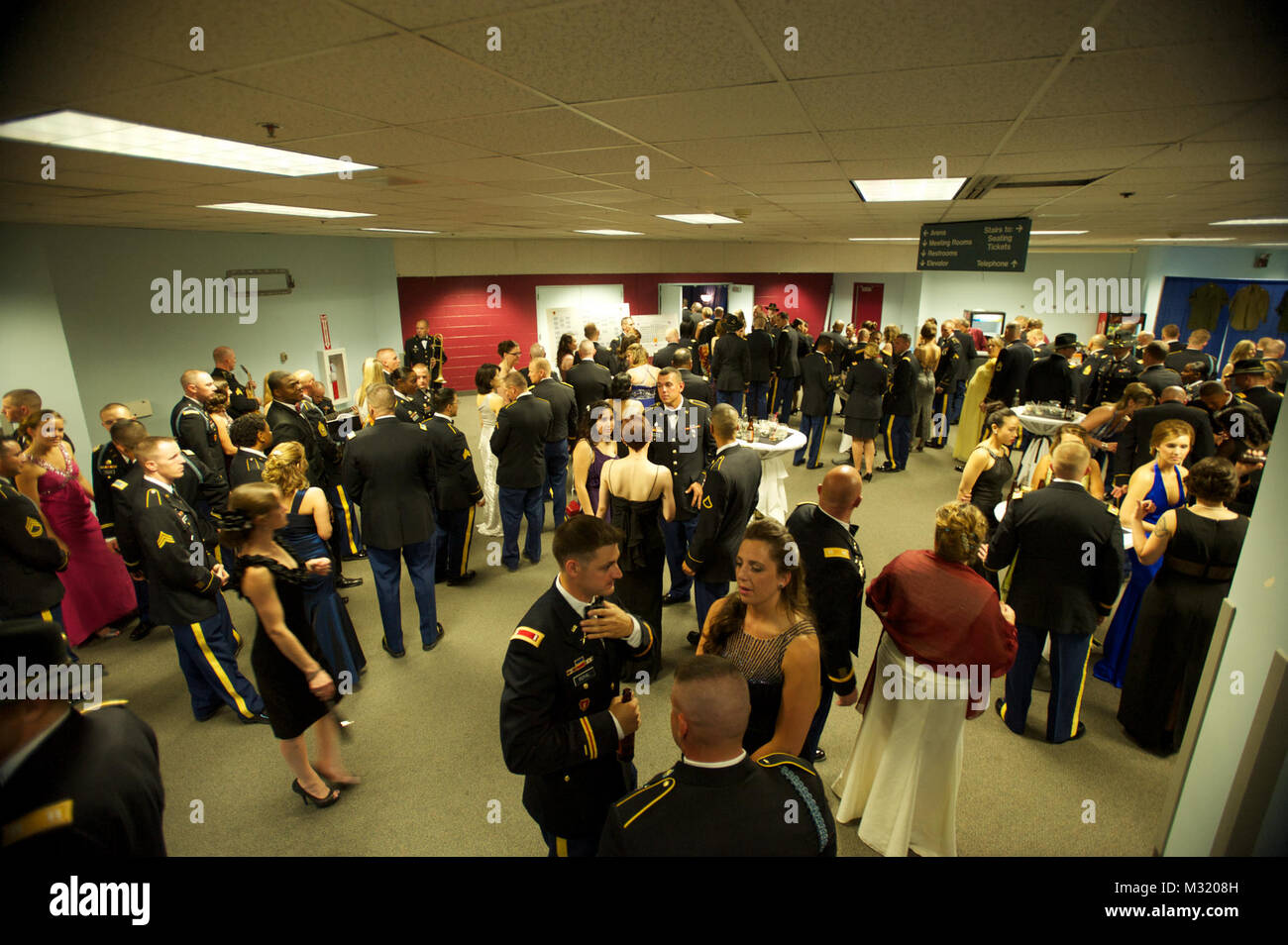 Brigade Ball 50 by 1 Stryker Brigade Combat Team Arctic Wolves Stock ...