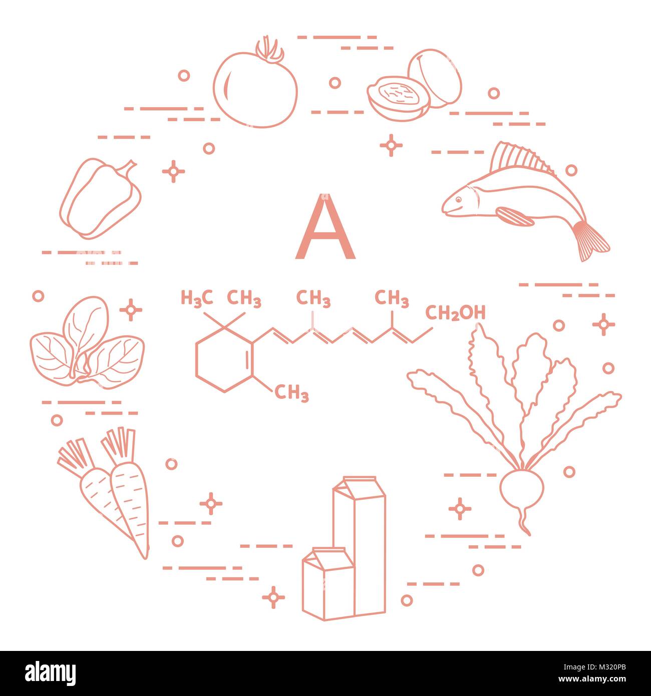 Peppers peppers contain vitamin Stock Vector Images - Alamy